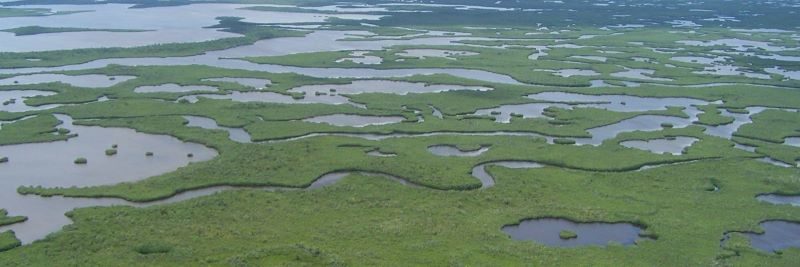Feds Finalize Key 'Waters of the United States' Wetlands Rule ...