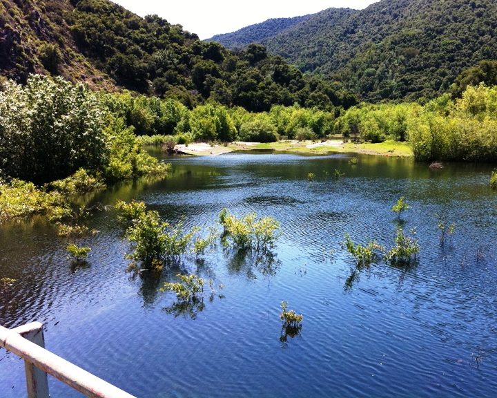 California Views | Engineering News-Record