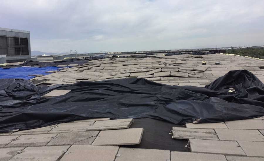 Sprinkler System Failure on Phoenix Library Triggered by Wind, Roof ...