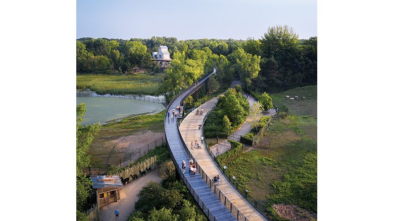 Best Specialty Construction: Minnesota Zoo Treetop Trail | Engineering ...