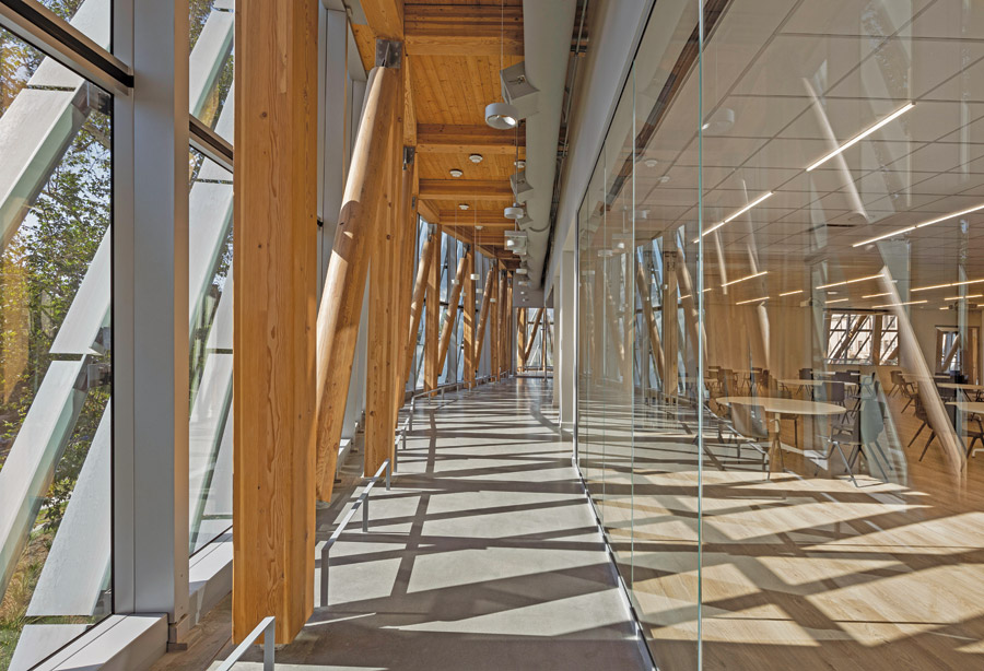 Best Higher Education/Research, Excellence in Sustainability: Caltech ...